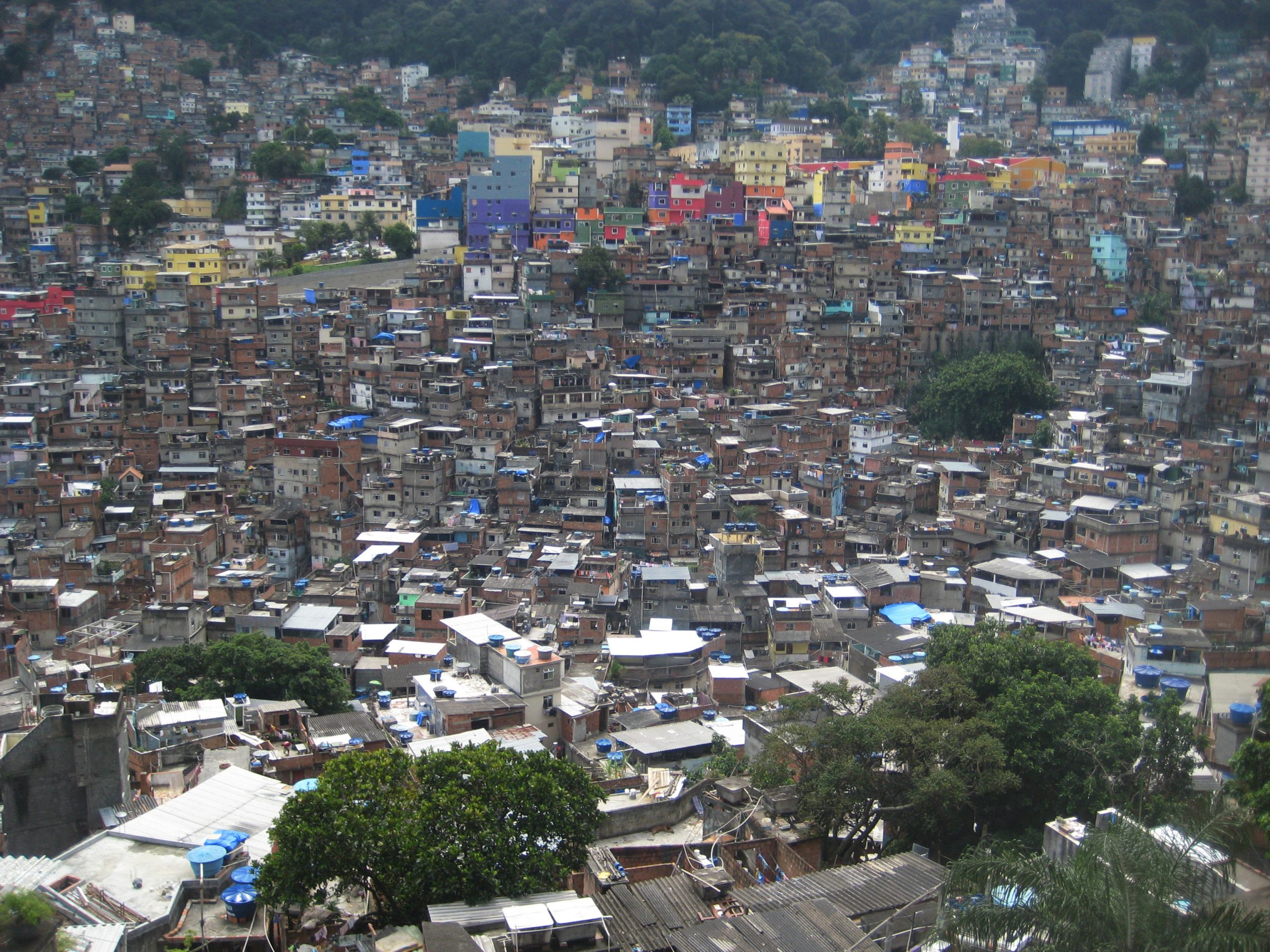 South America | Carolyn Wilson